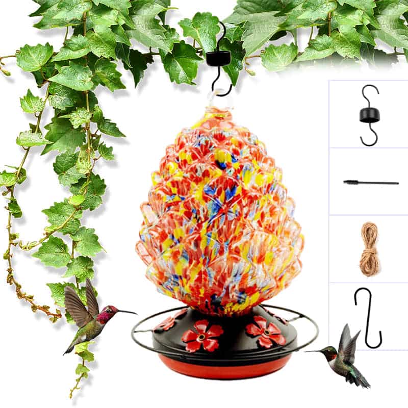 Top 5 Best Hummingbird Feeders – 5 Best Comparison